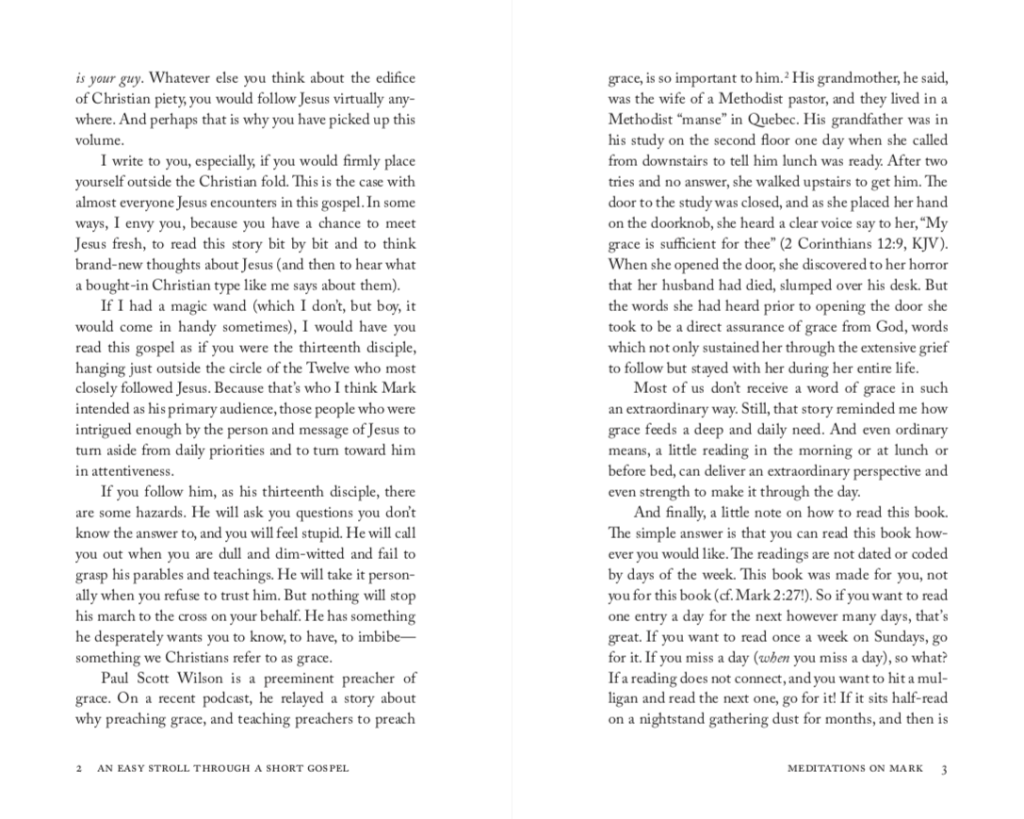 An Easy Stroll Through a Short Gospel - Mockingbird