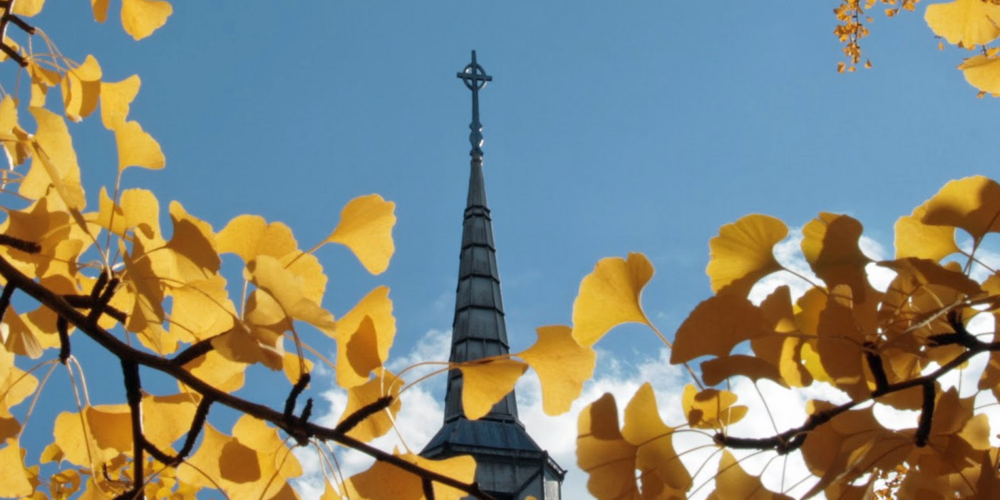 The Ginkgo Tree Is Dead - Mockingbird