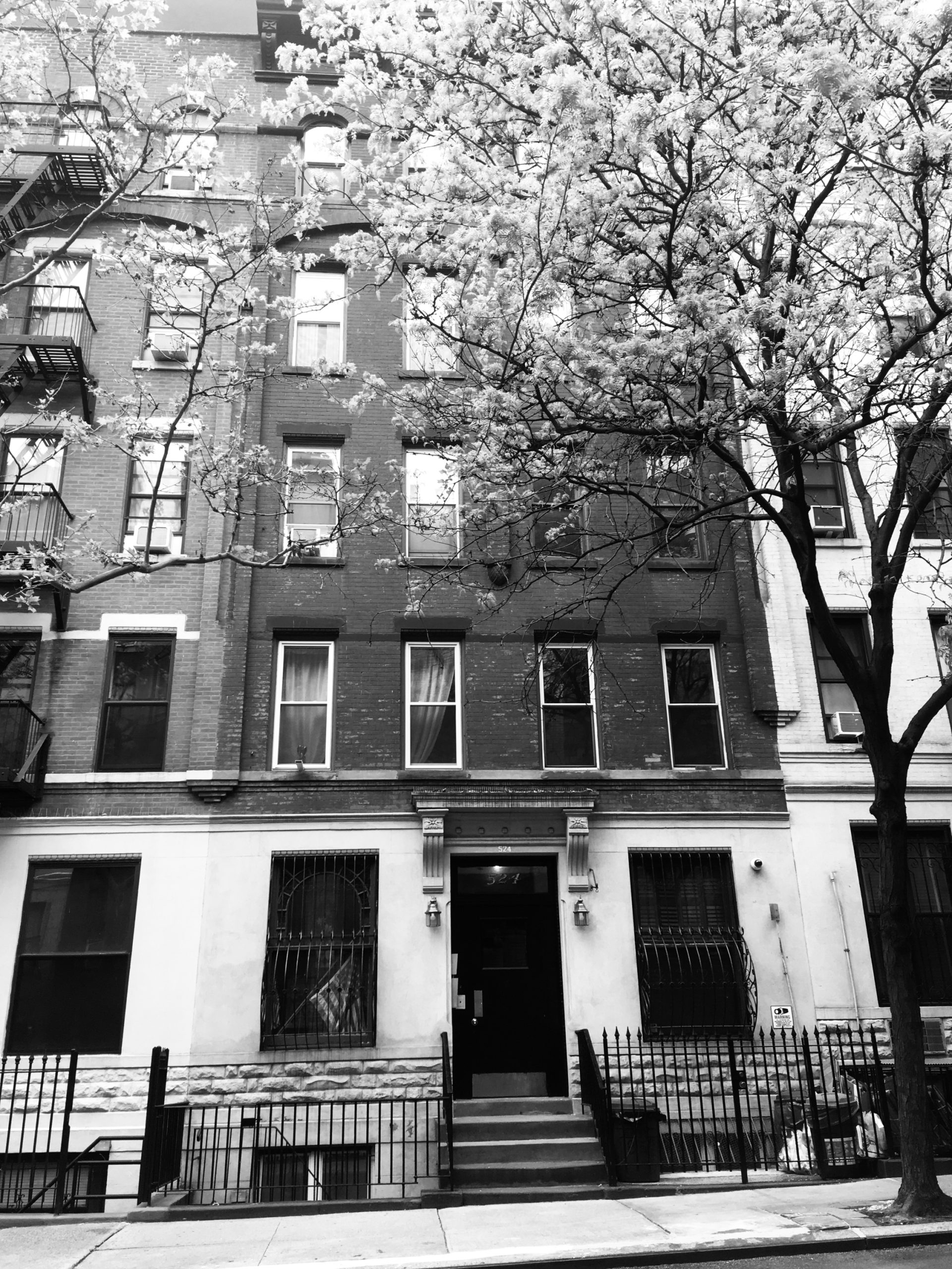 Harriet the Spy and Jesus - Mockingbird