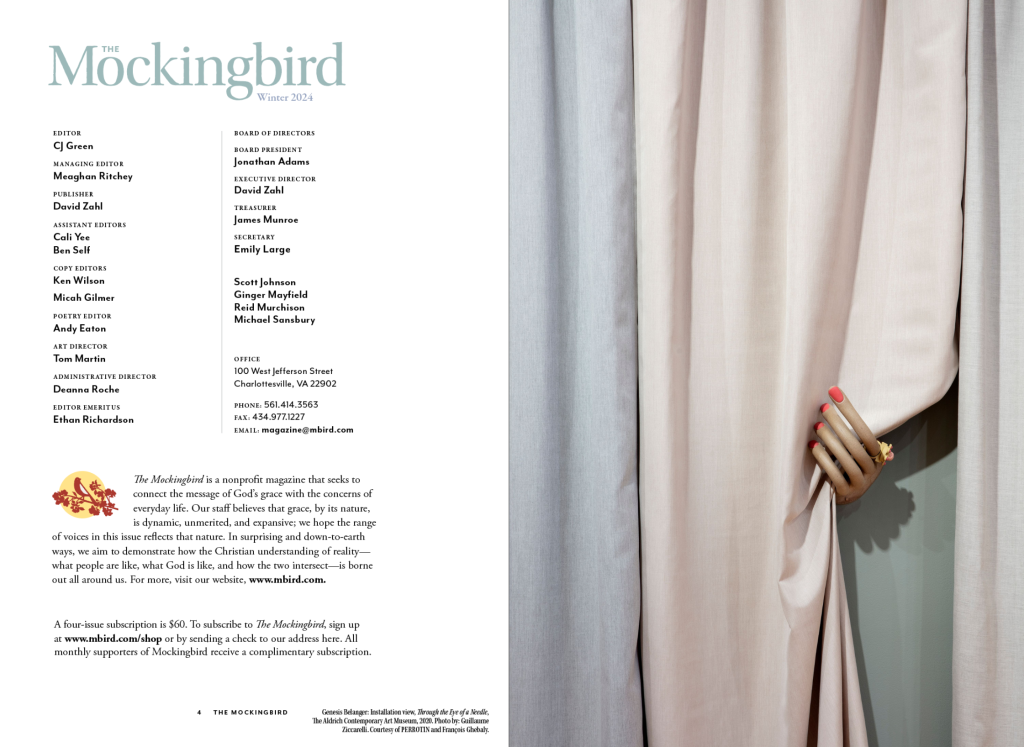 Issue 24: Mystery - Mockingbird