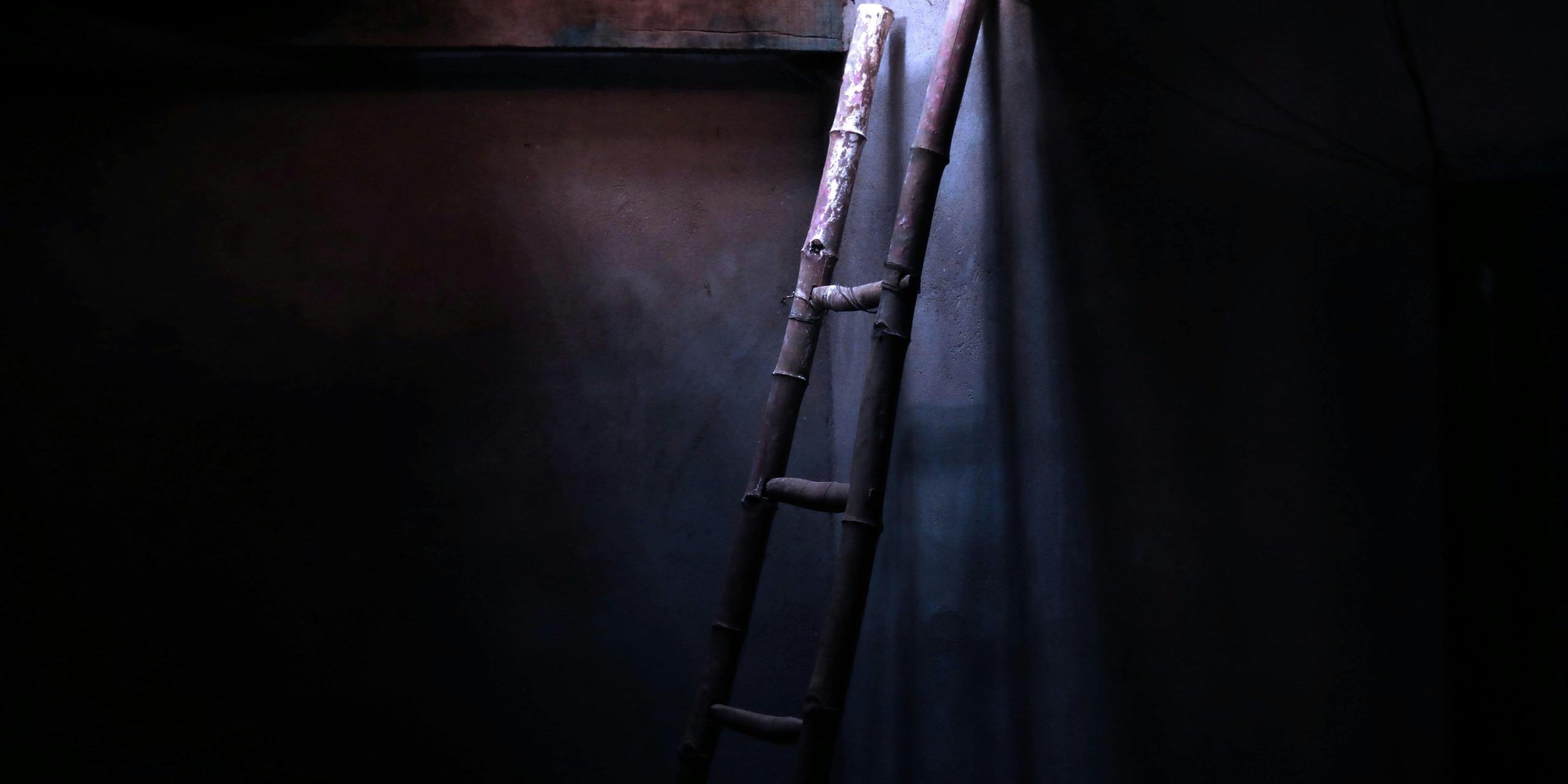 The End of The Ladder - William McDavid - Mockingbird