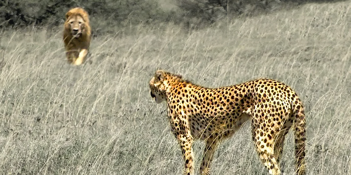 Running From a Terrifying God - Mockingbird