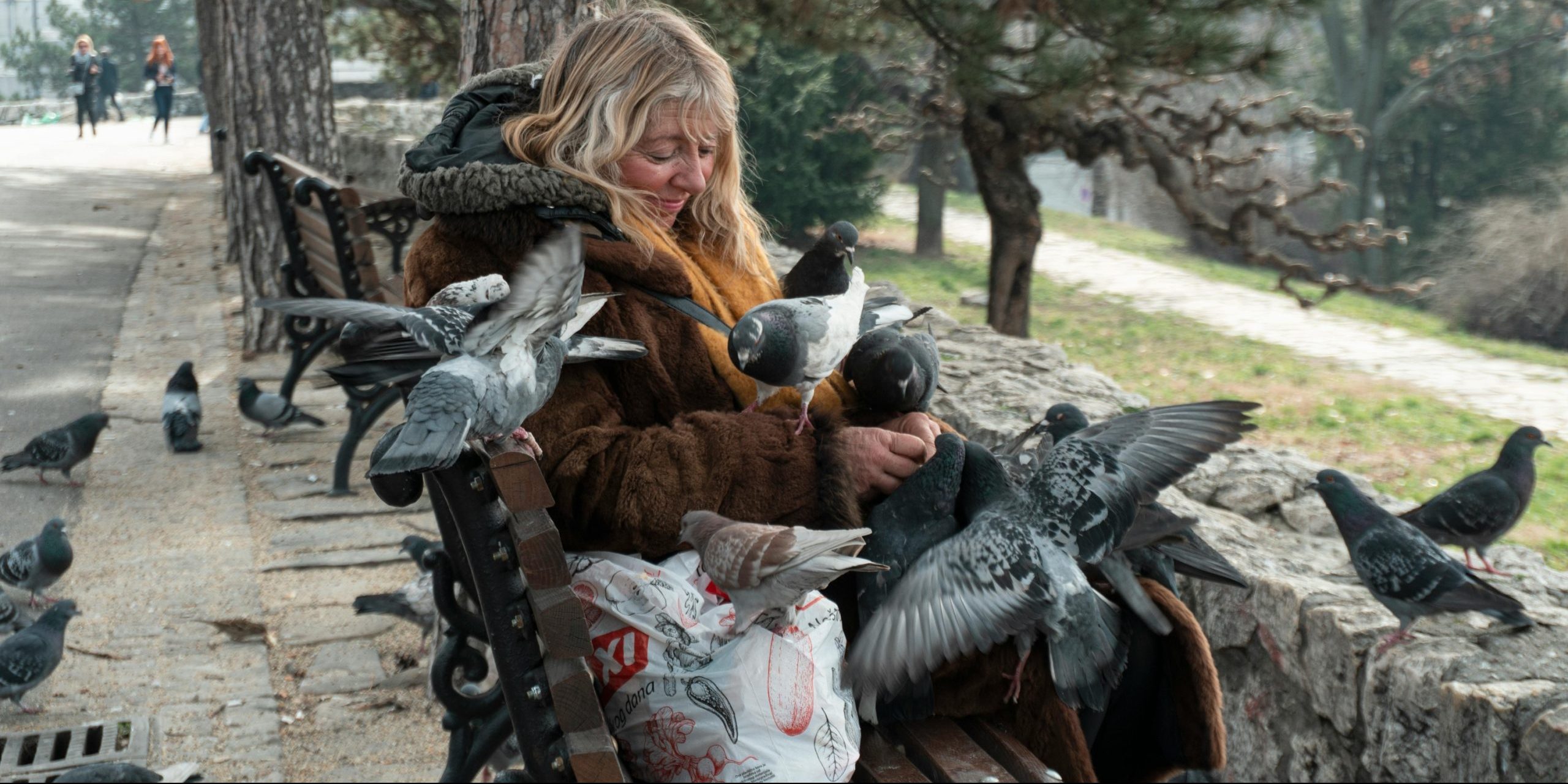 Grace Behind The Mystery - Ryan Alvey - Mockingbird