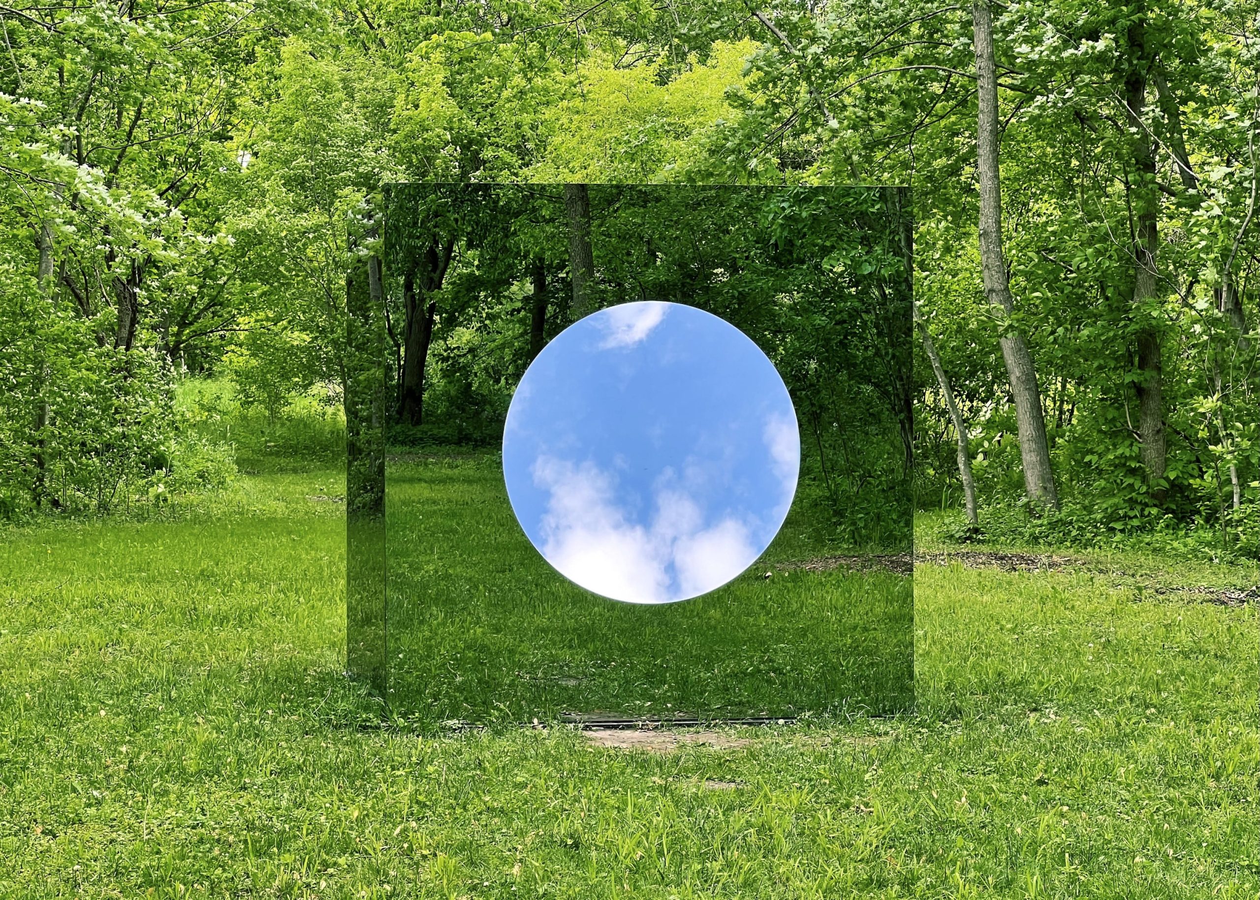 Through a Glass Darkly - Mockingbird