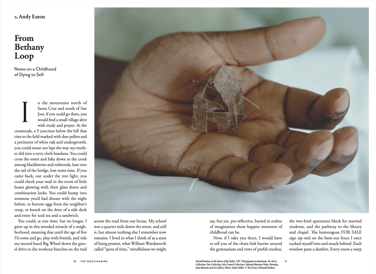 Issue 25: Home - Mockingbird